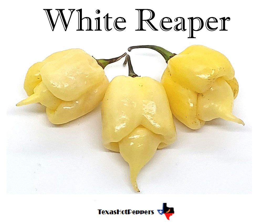 White Reaper – Texas Hot Peppers