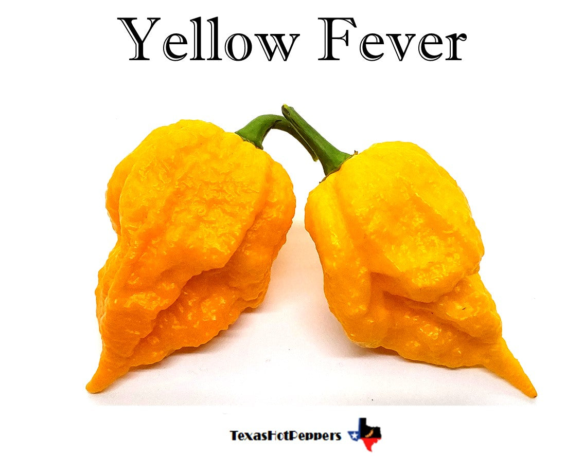 Yellow Fever – Texas Hot Peppers