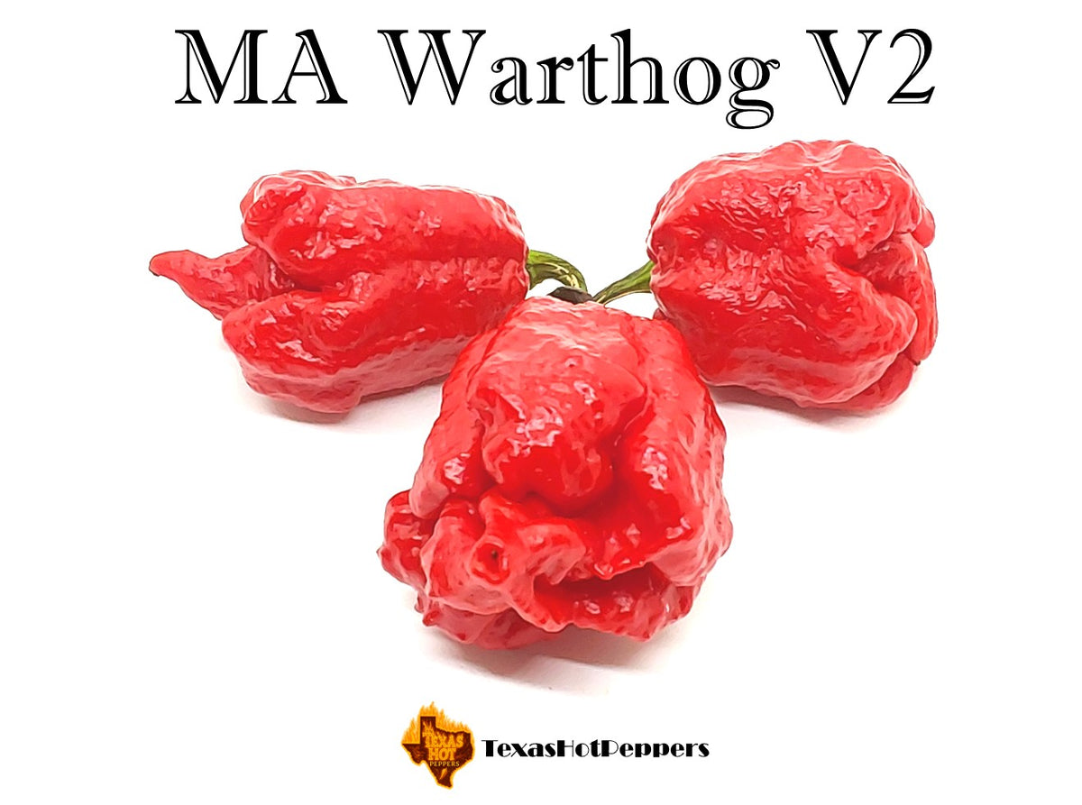 MA Warthog V2 – Texas Hot Peppers