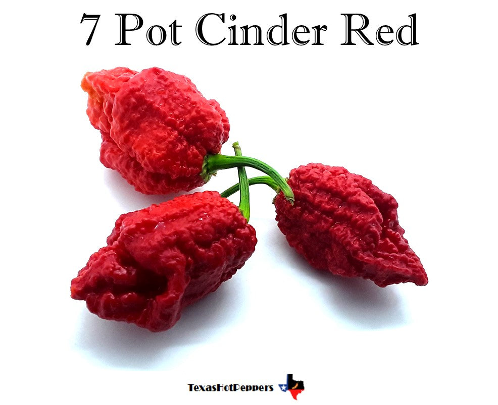 7 Pot Cinder Red – Texas Hot Peppers