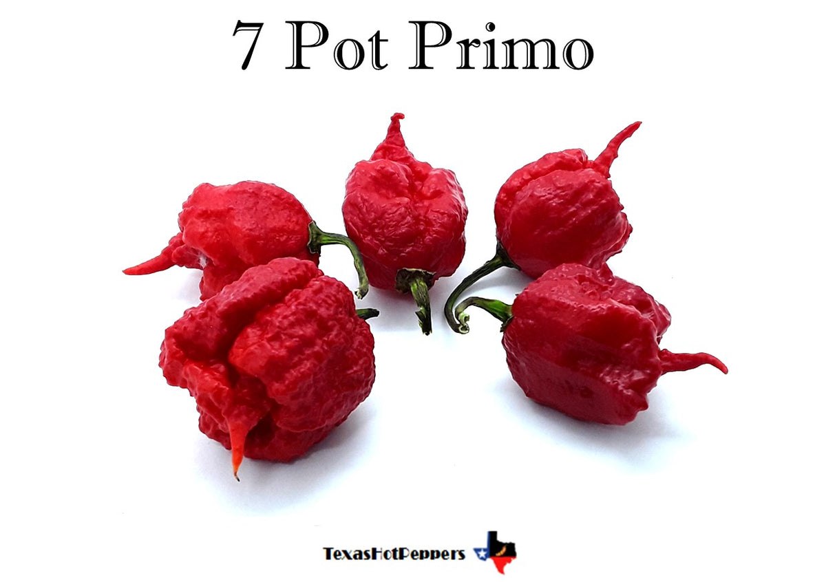 7 Pot Primo – Texas Hot Peppers