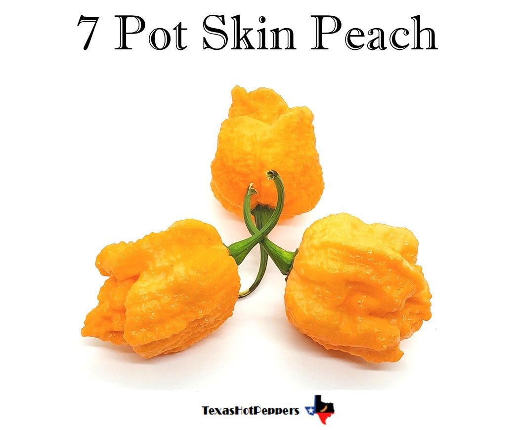 7 Pot Skin Peach – Texas Hot Peppers