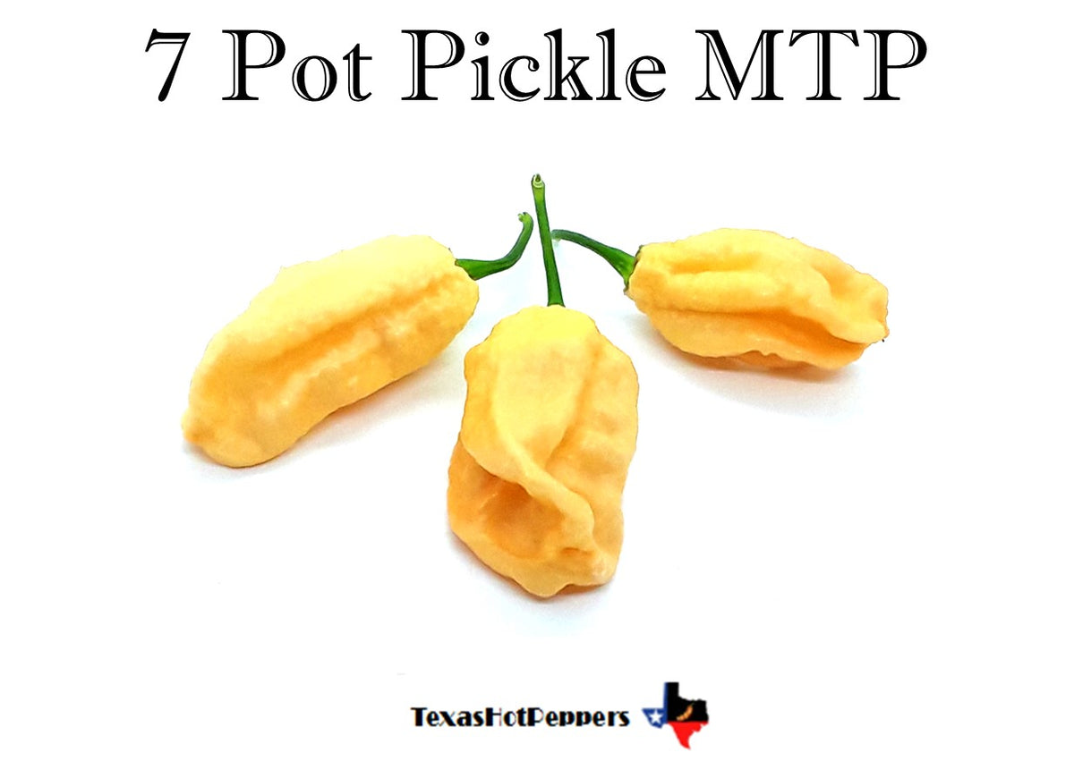 7 Pot Pickle MTP – Texas Hot Peppers
