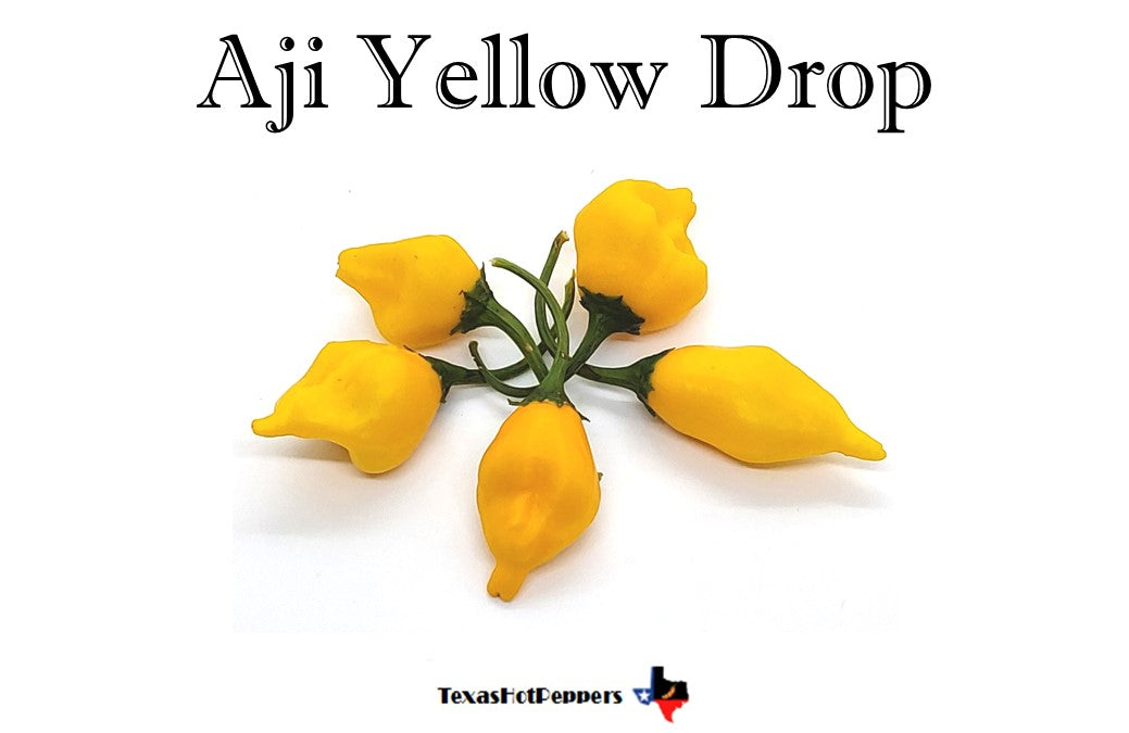 Aji Yellow Drop – Texas Hot Peppers
