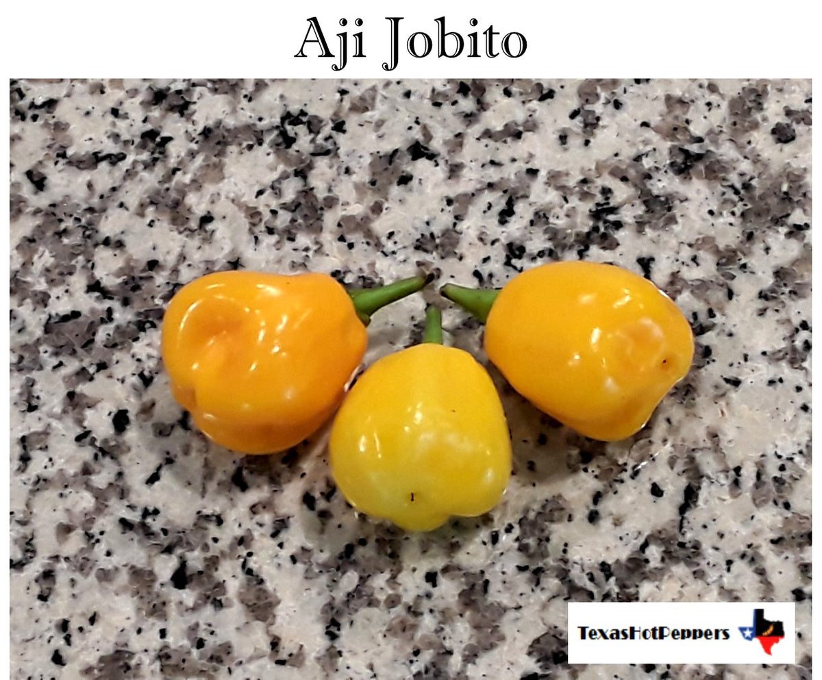 Aji Jobito – Texas Hot Peppers