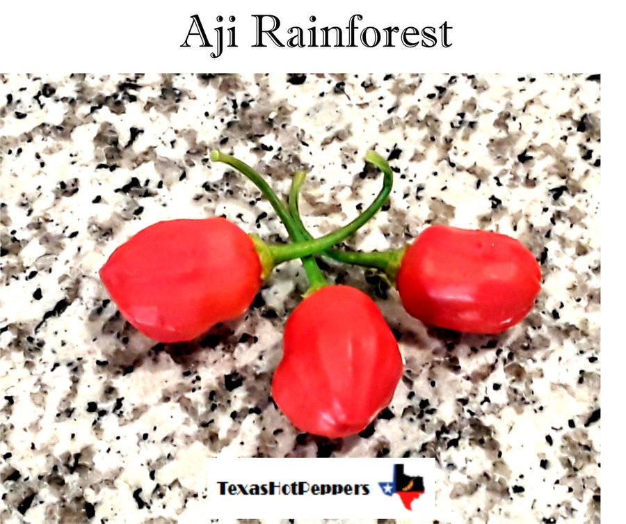 Aji Rainforest – Texas Hot Peppers