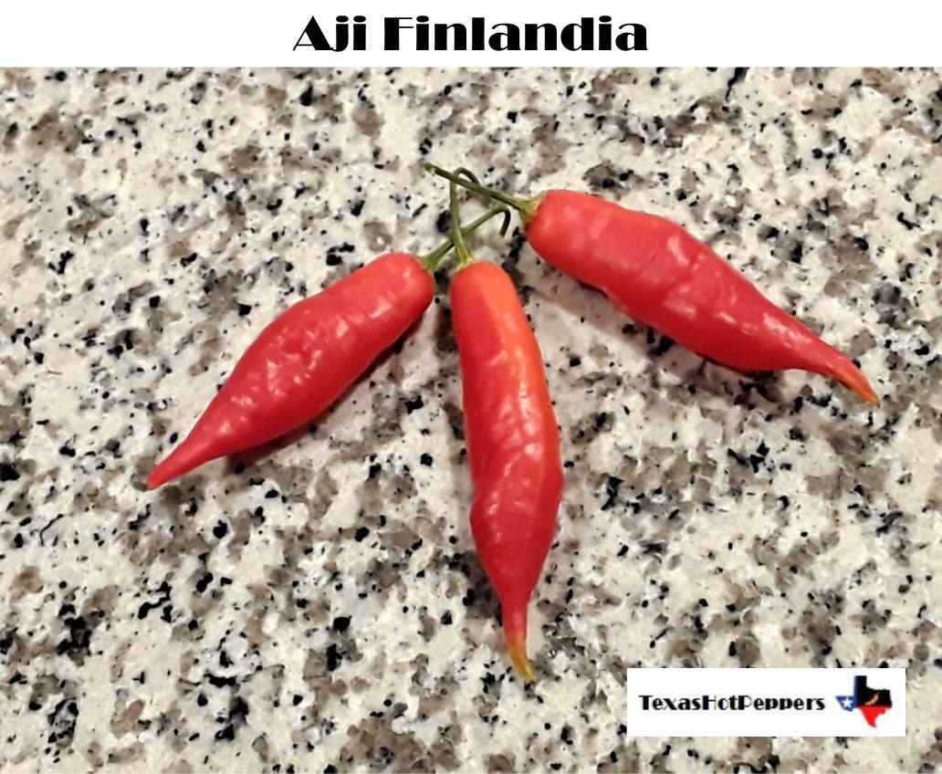 Aji Finlandia – Texas Hot Peppers