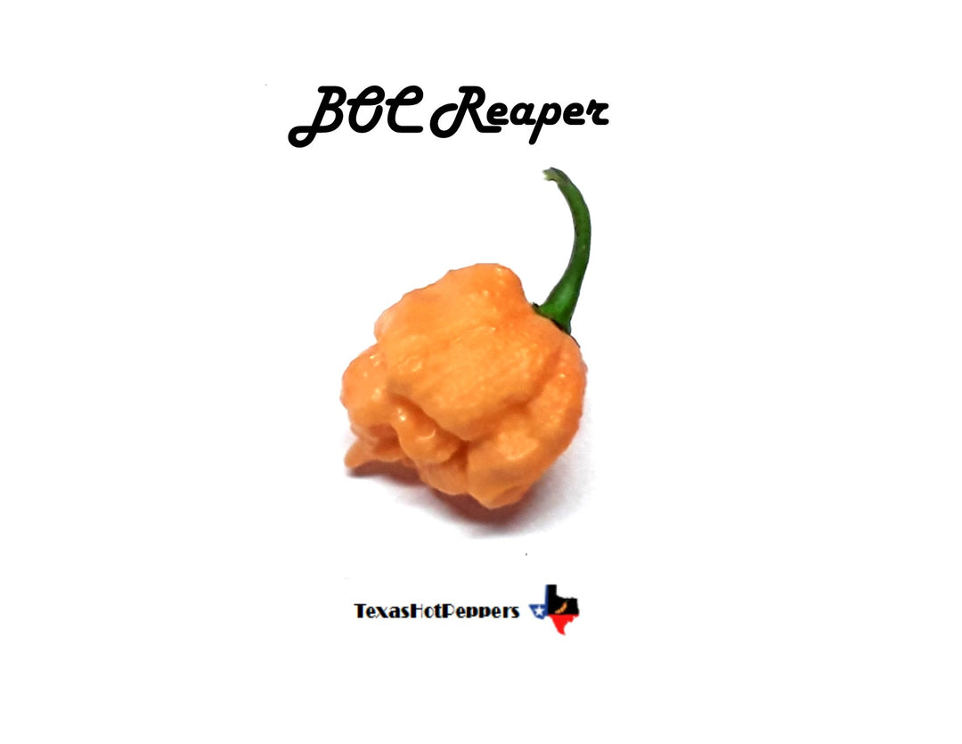 BOC X Reaper – Texas Hot Peppers