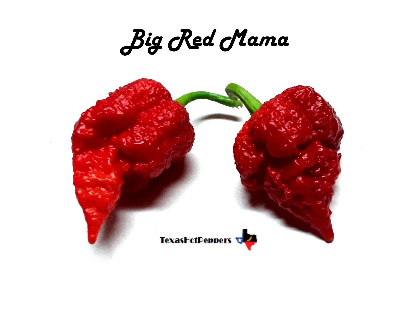 Big Red Mama – Texas Hot Peppers