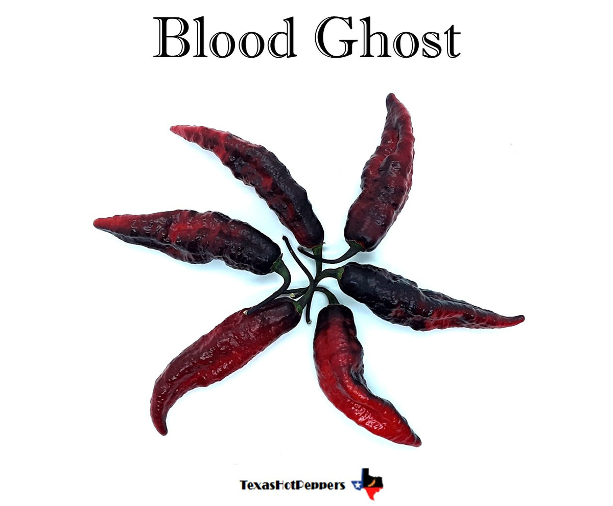 Blood Ghost – Texas Hot Peppers