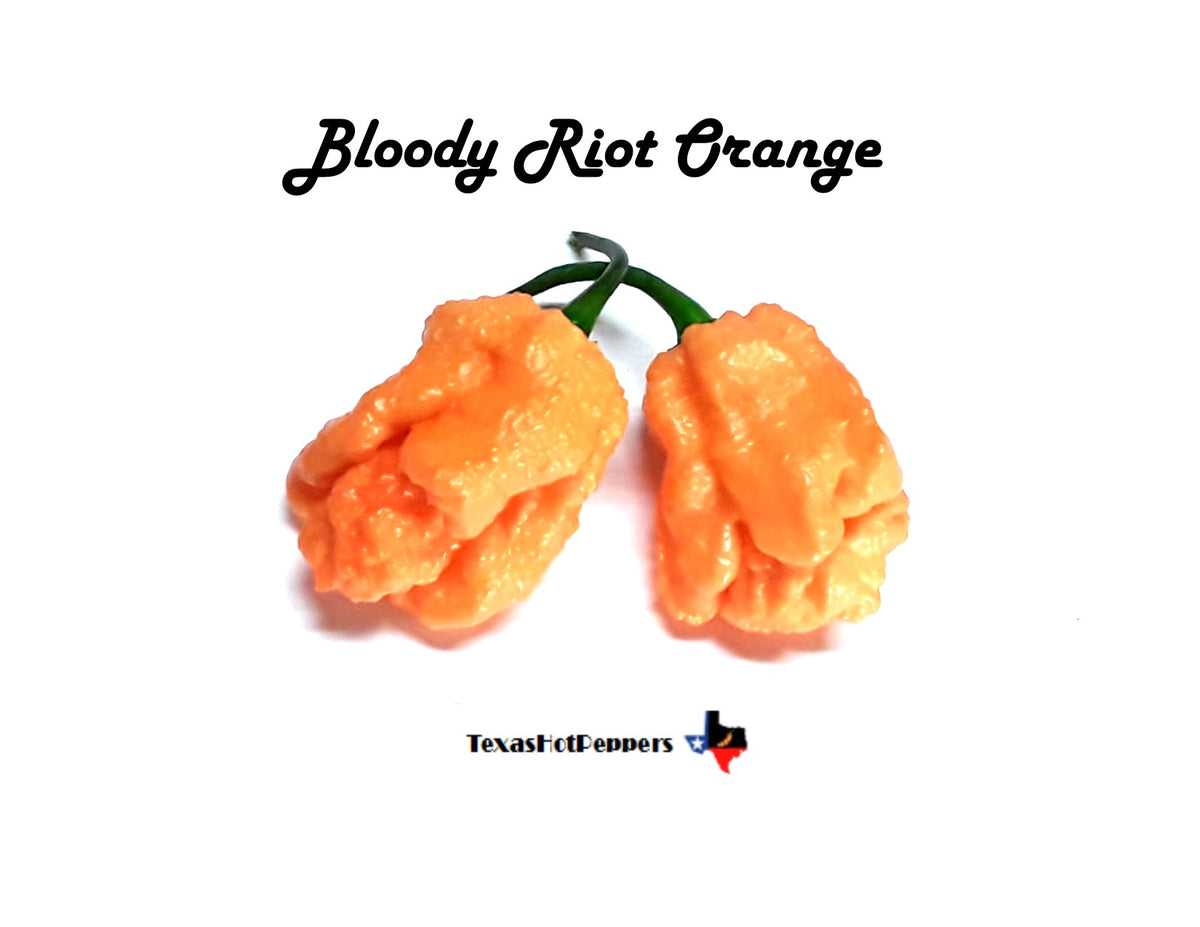 Bloody Riot Orange – Texas Hot Peppers