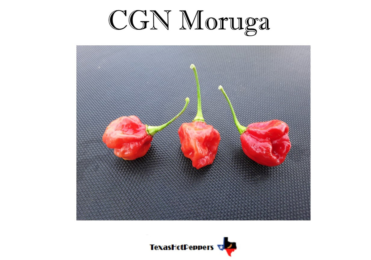 CGN Moruga X – Texas Hot Peppers