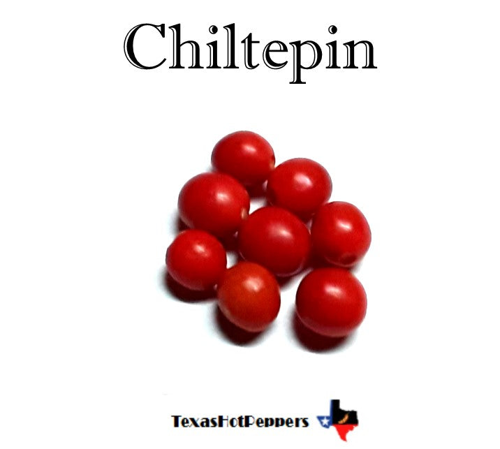 Chiltepin – Texas Hot Peppers