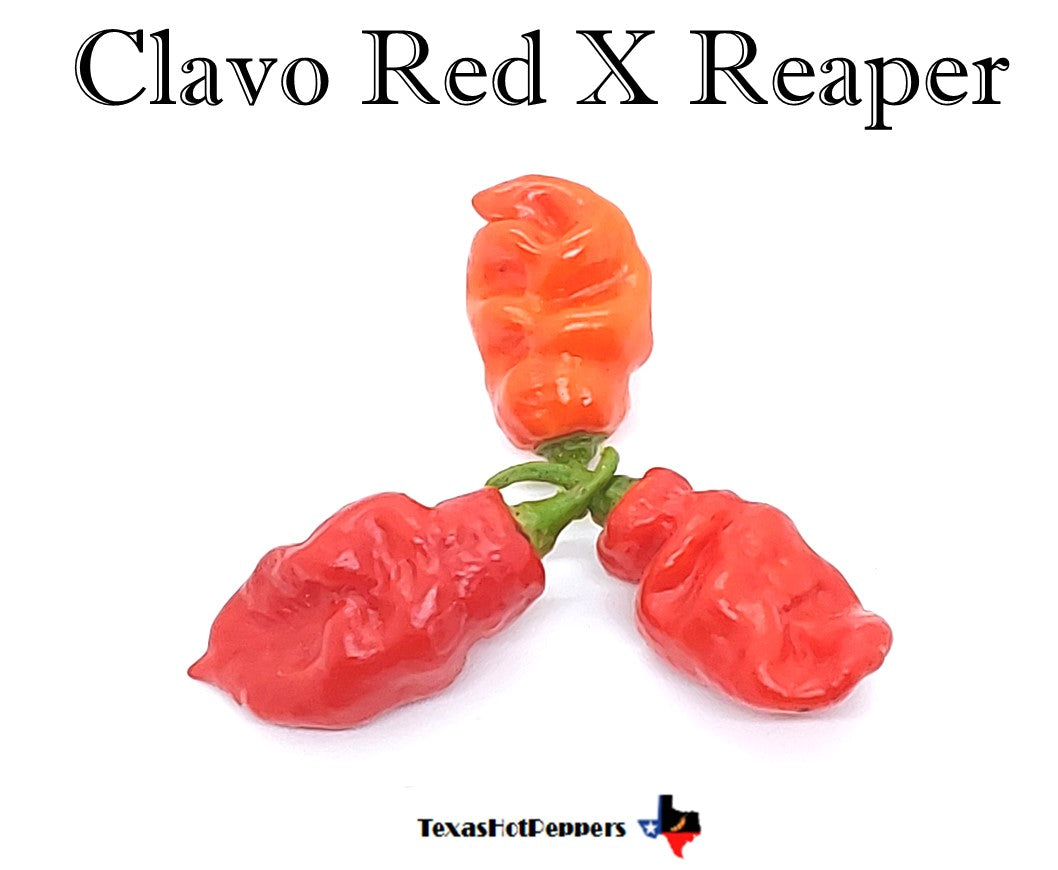 Clavo Red X Reaper – Texas Hot Peppers