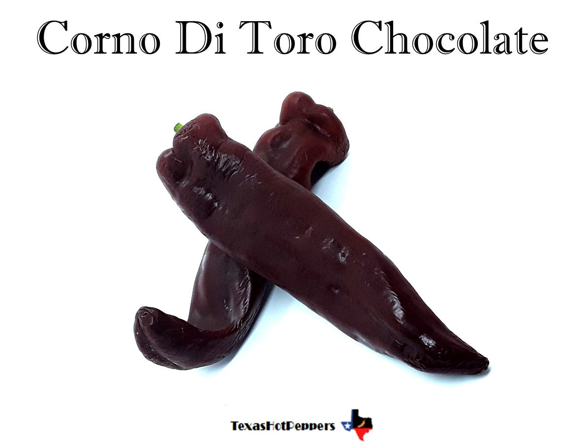 Corno Di Toro Chocolate – Texas Hot Peppers