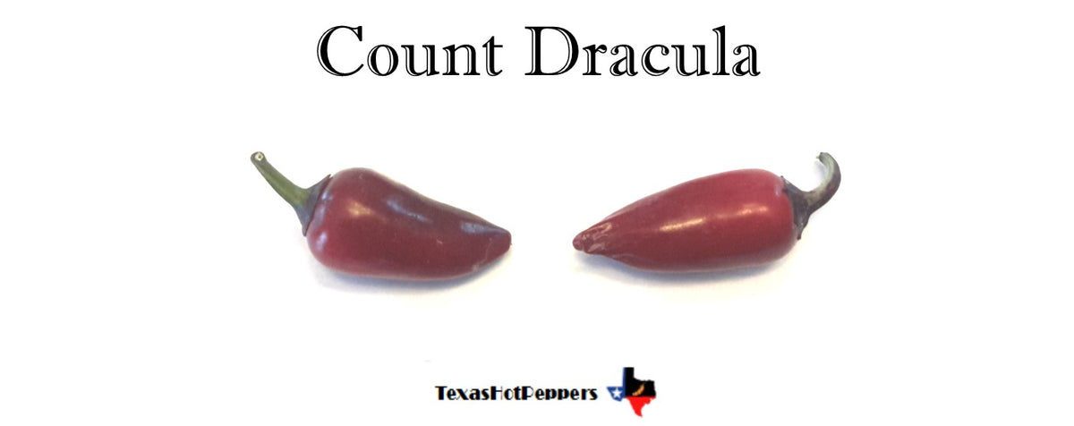 Count Dracula – Texas Hot Peppers