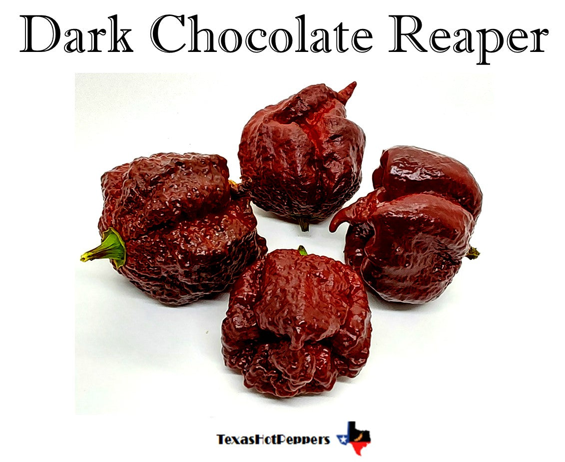 Dark Chocolate Reaper – Texas Hot Peppers