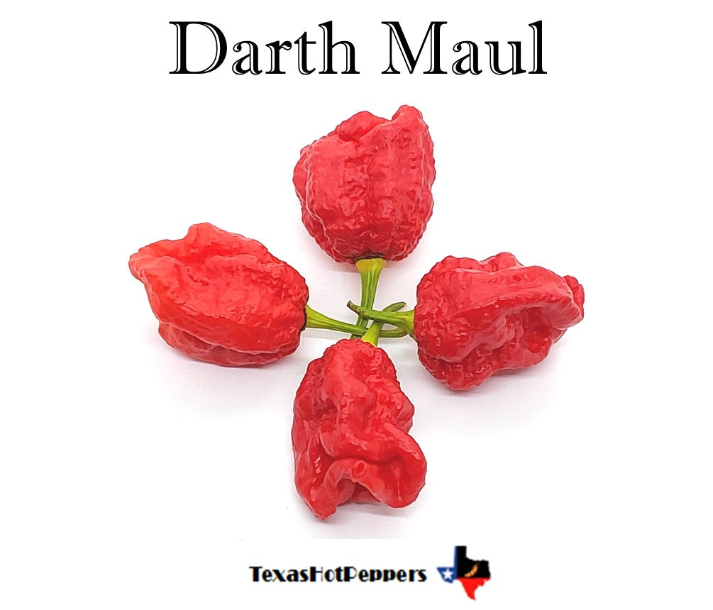 Darth Maul – Texas Hot Peppers