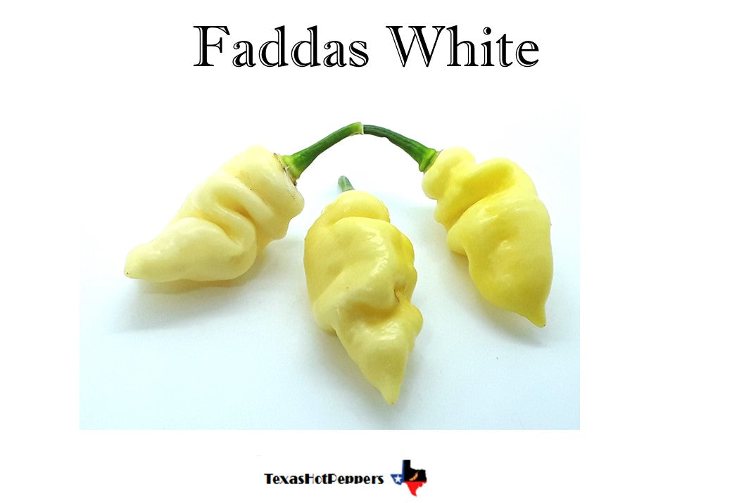 Faddas White – Texas Hot Peppers