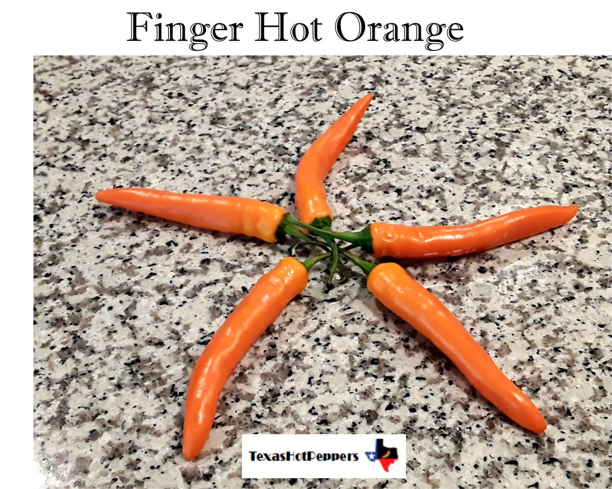 Finger Hot Orange Seeds – Texas Hot Peppers