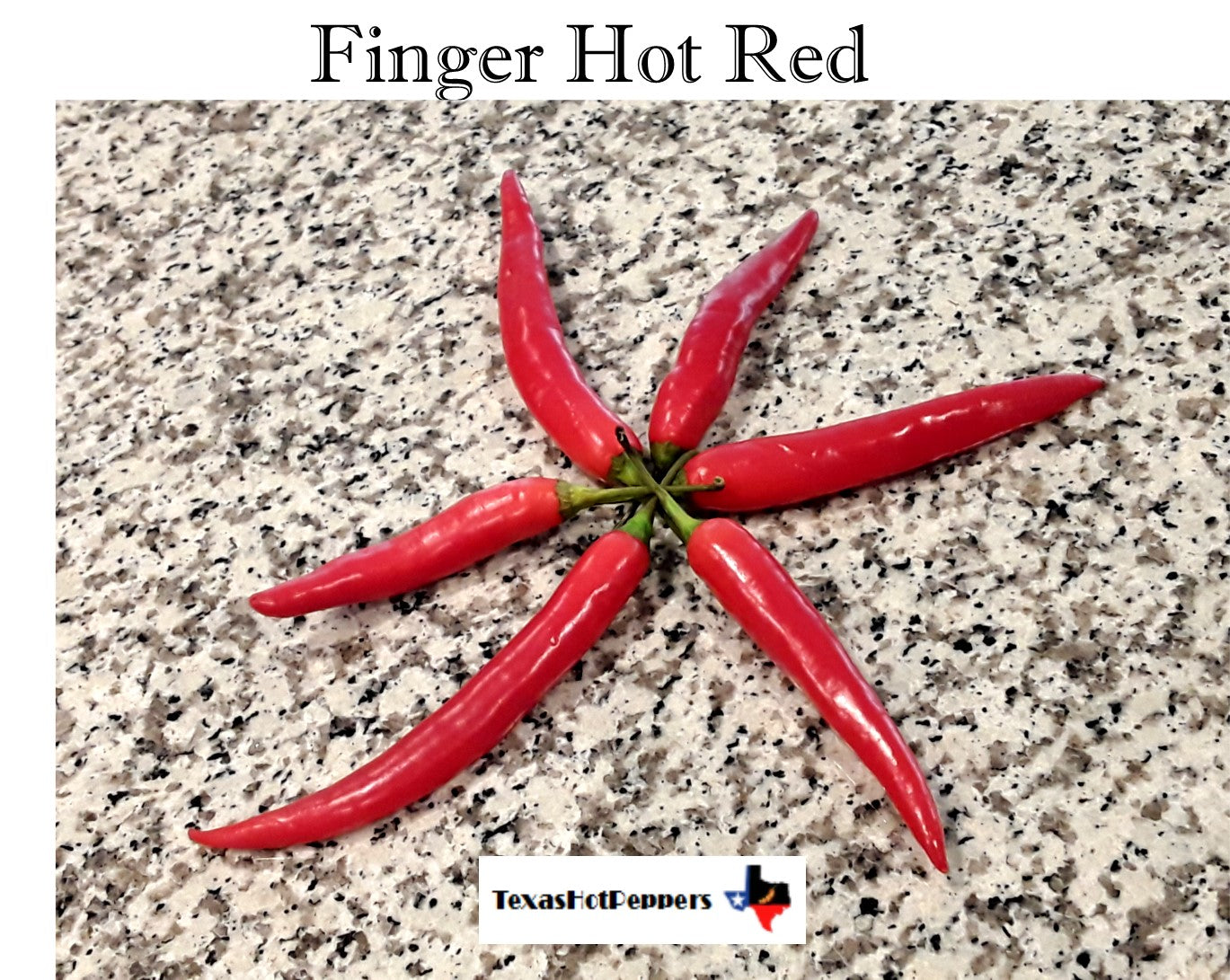 Finger Hot Red Seeds – Texas Hot Peppers