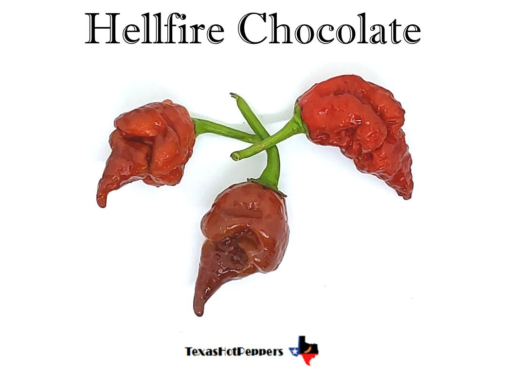 Hellfire Chocolate – Texas Hot Peppers