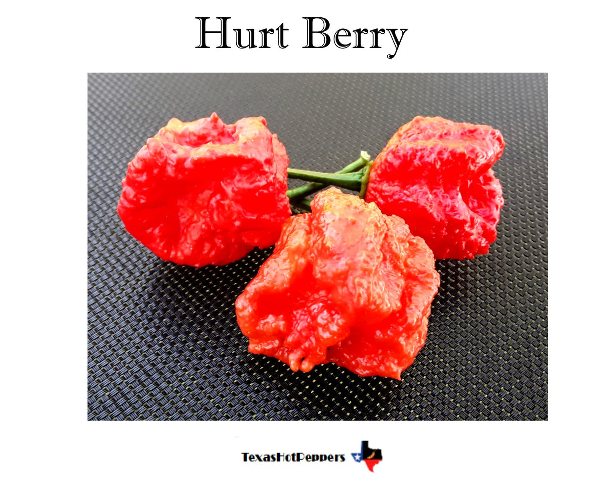 Hurt Berry – Texas Hot Peppers