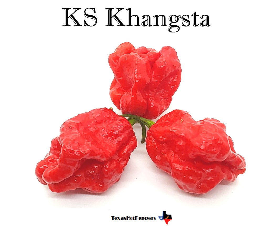KS Khangsta – Texas Hot Peppers
