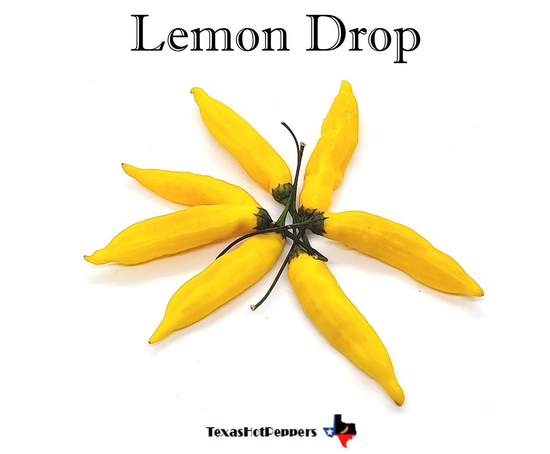 Lemon Drop – Texas Hot Peppers