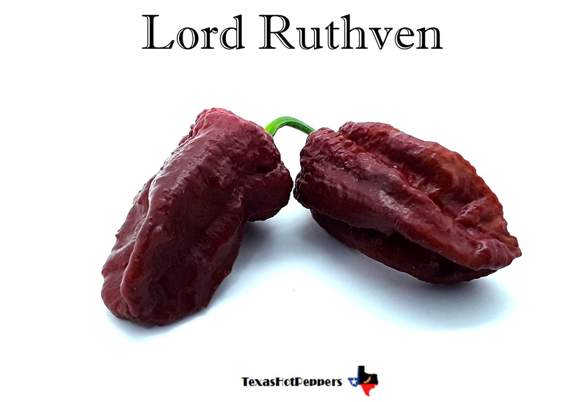 Lord Ruthven – Texas Hot Peppers