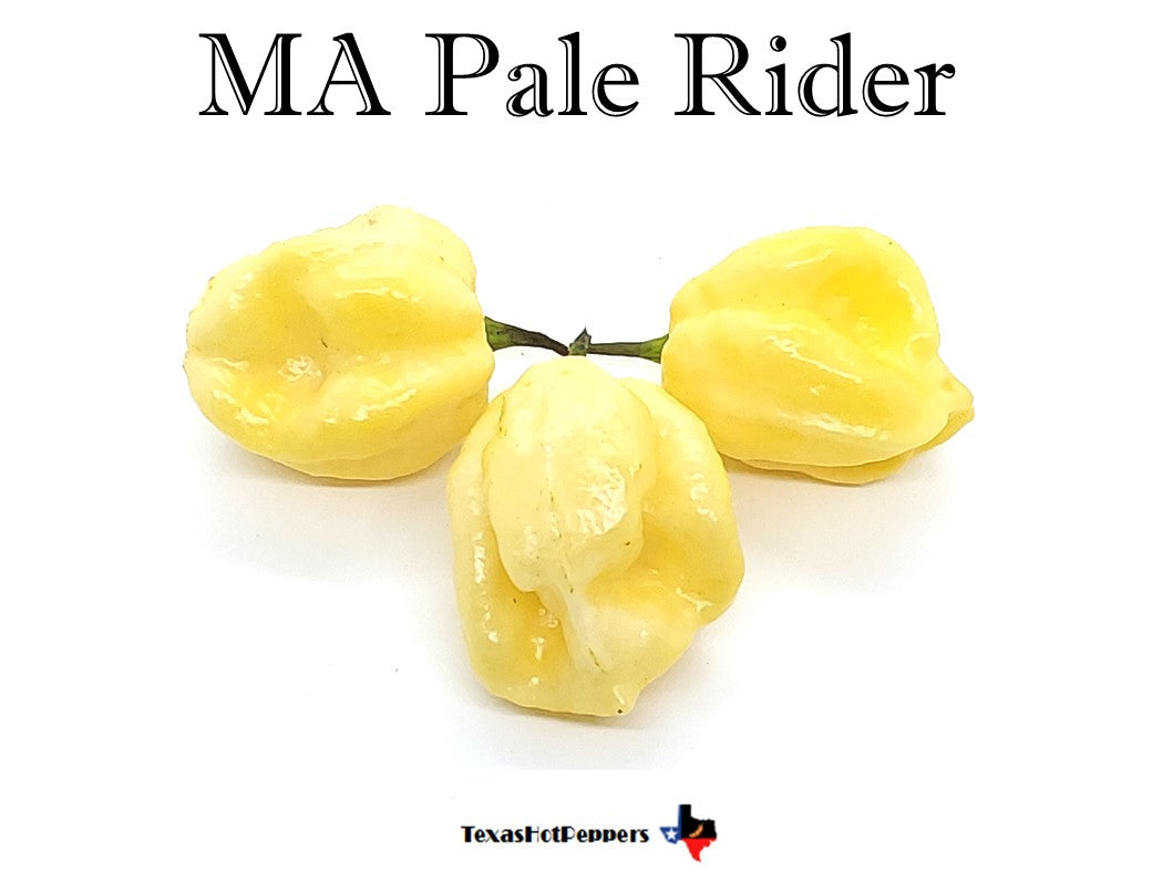 MA Pale Rider – Texas Hot Peppers