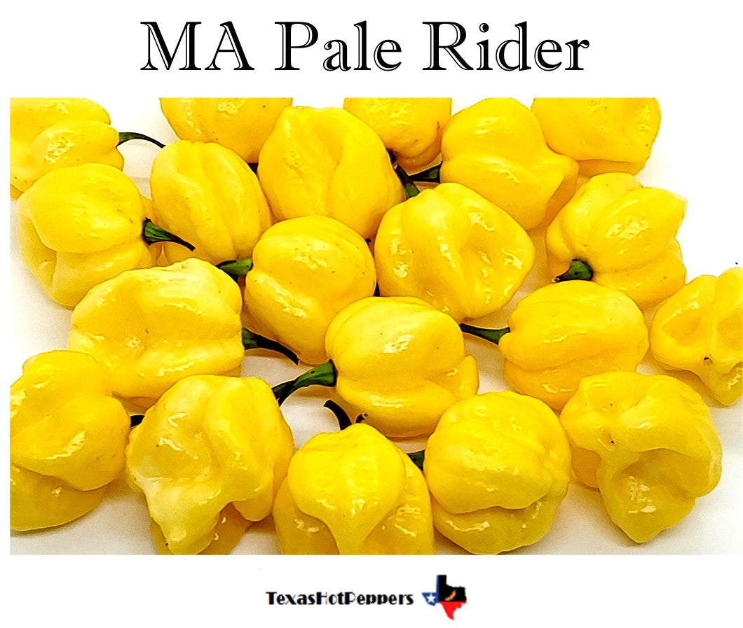 MA Pale Rider – Texas Hot Peppers