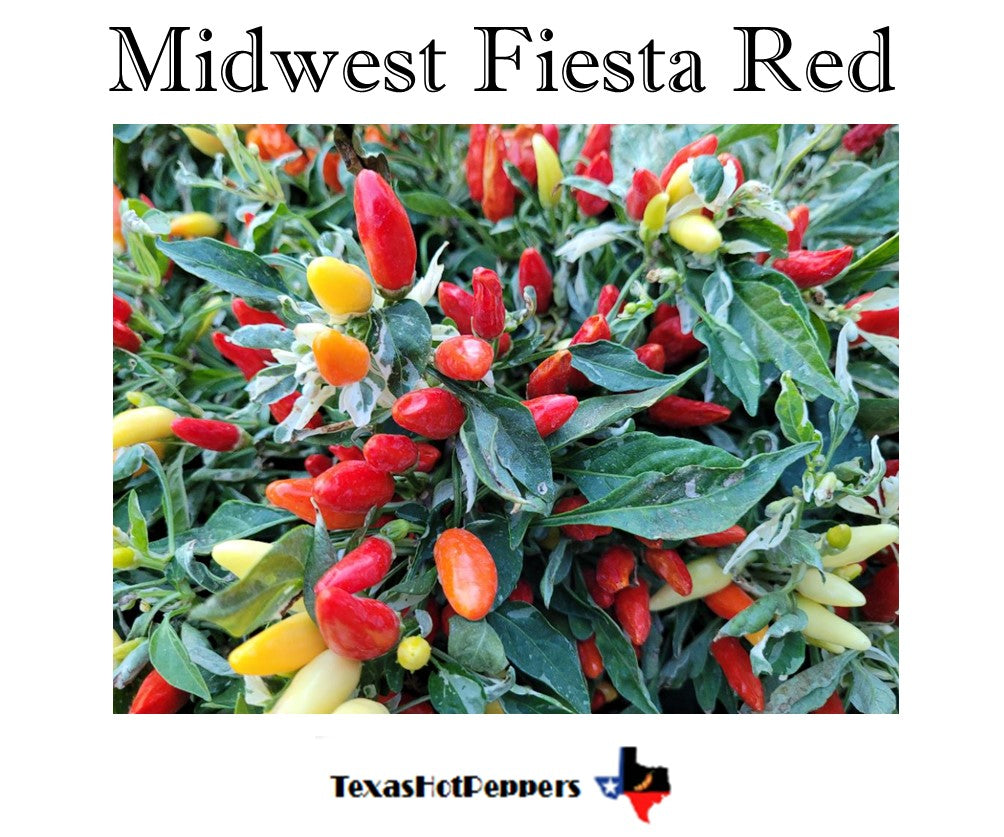 Midwest Fiesta Red – Texas Hot Peppers