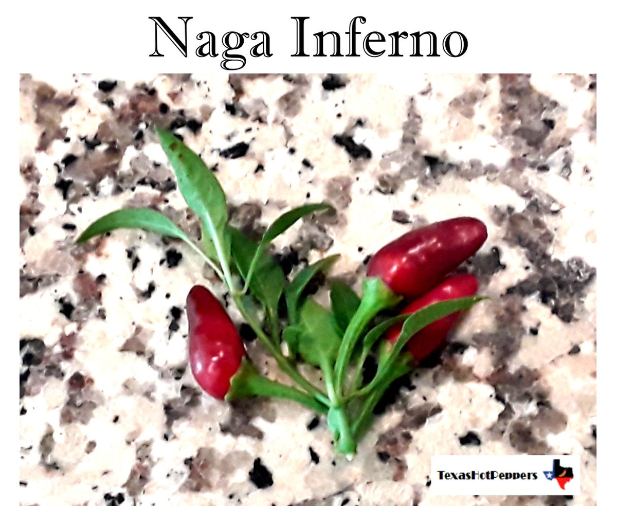 Naga Inferno – Texas Hot Peppers