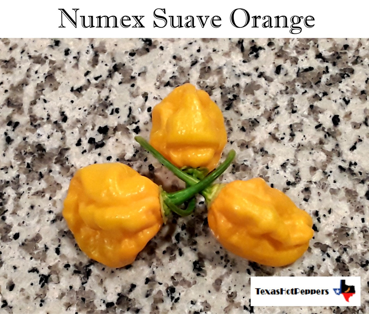 Numex Suave Orange – Texas Hot Peppers
