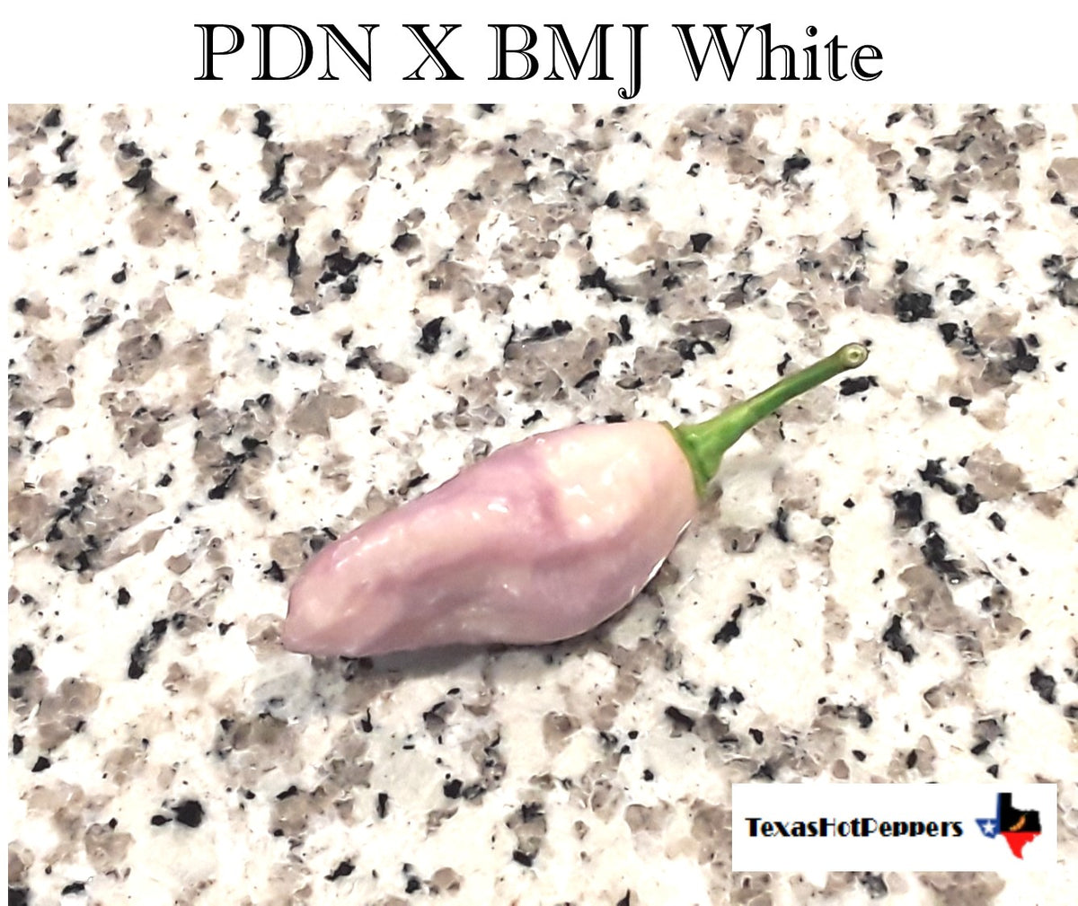 PDN X Bonda Ma Jacques (White) – Texas Hot Peppers