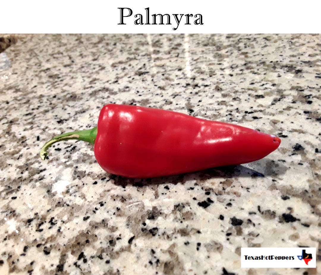 Palmyra – Texas Hot Peppers