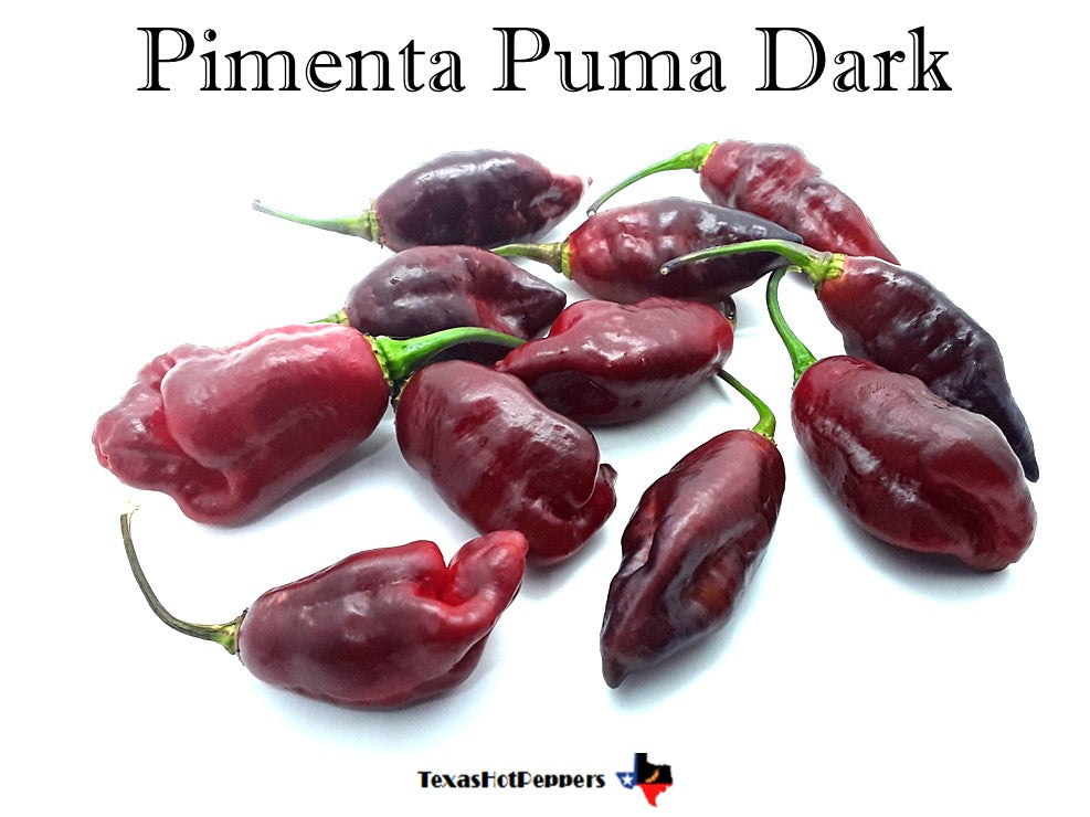 Pimenta Puma Dark – Texas Hot Peppers