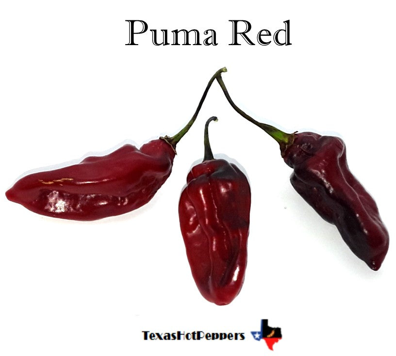 Puma Red – Texas Hot Peppers