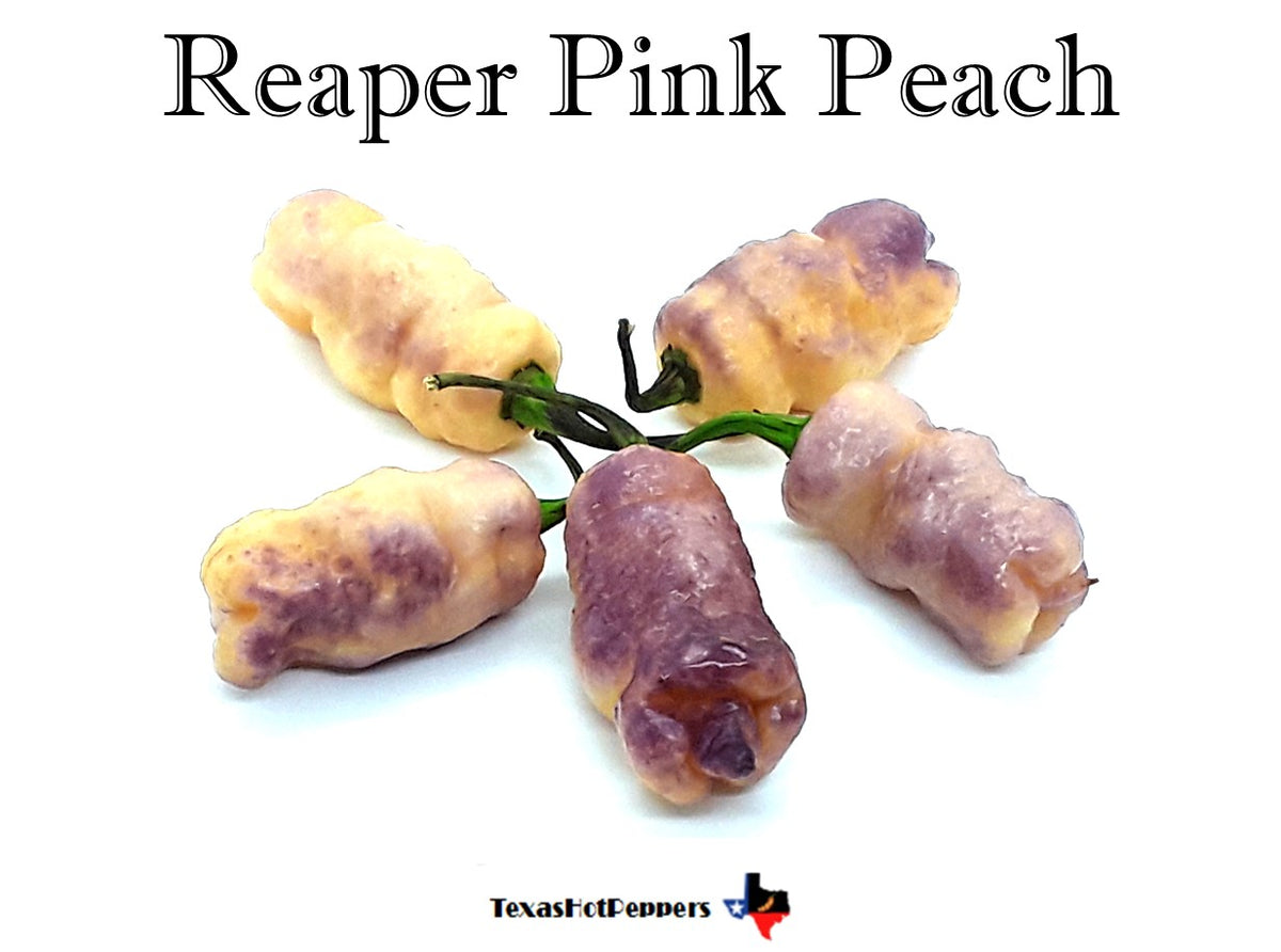 Reaper Pink Peach – Texas Hot Peppers