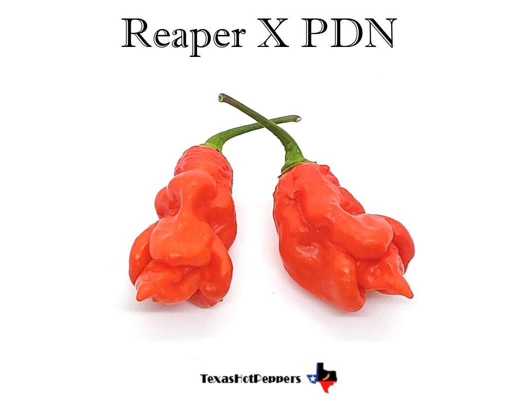 Reaper X PDN – Texas Hot Peppers