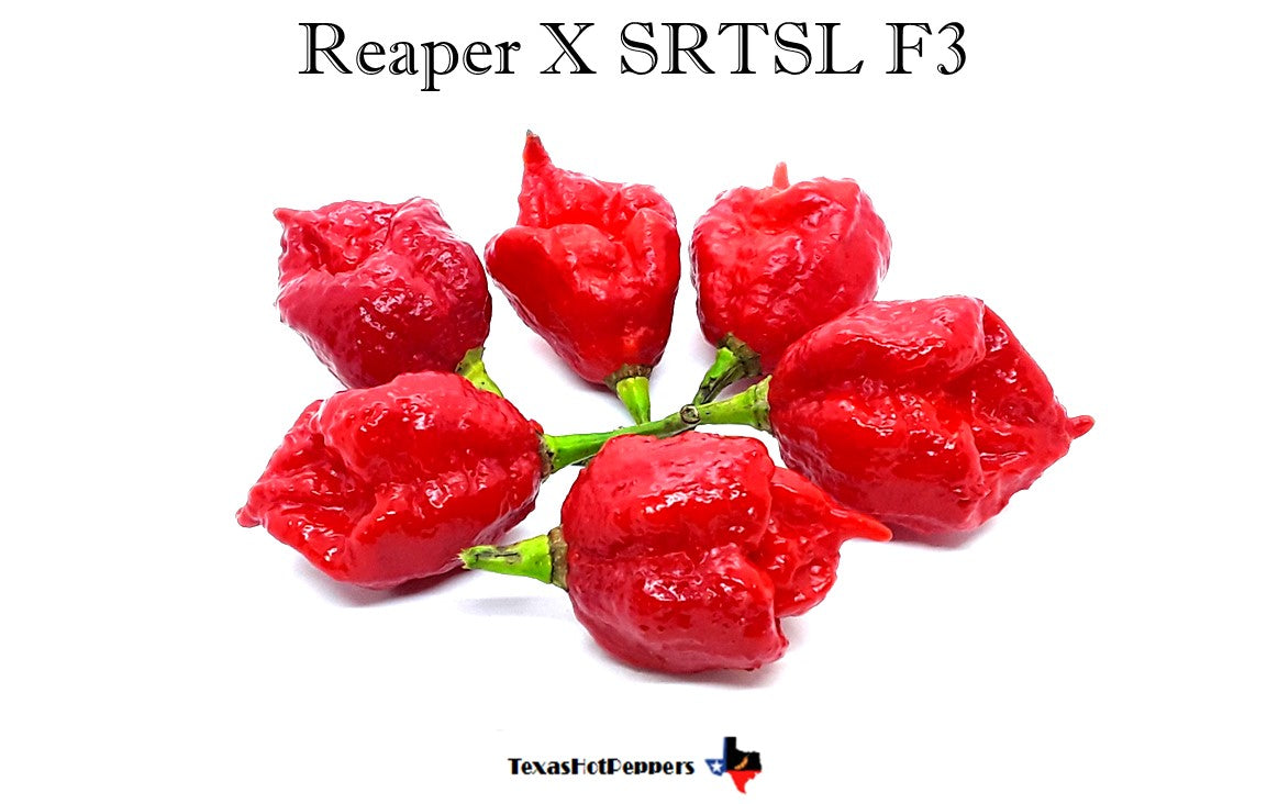 Reaper X SRTSL F3 – Texas Hot Peppers