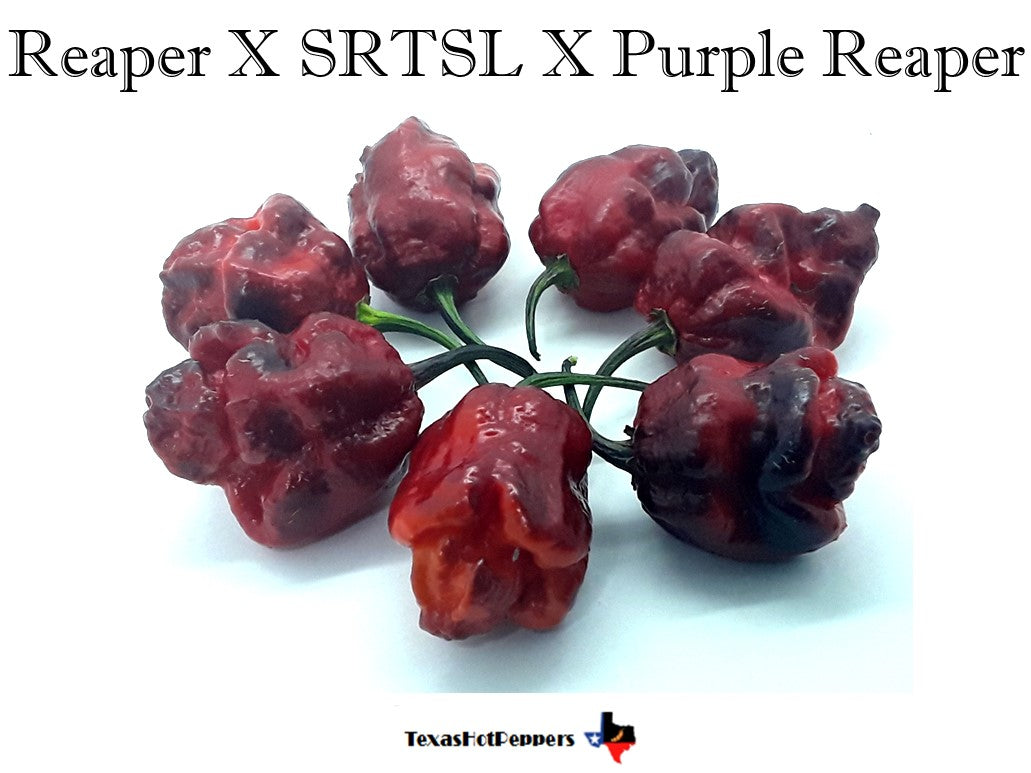 Reaper X SRTSL X Purple Reaper – Texas Hot Peppers