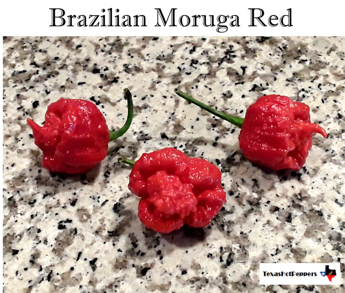 Brazilian Moruga Red – Texas Hot Peppers
