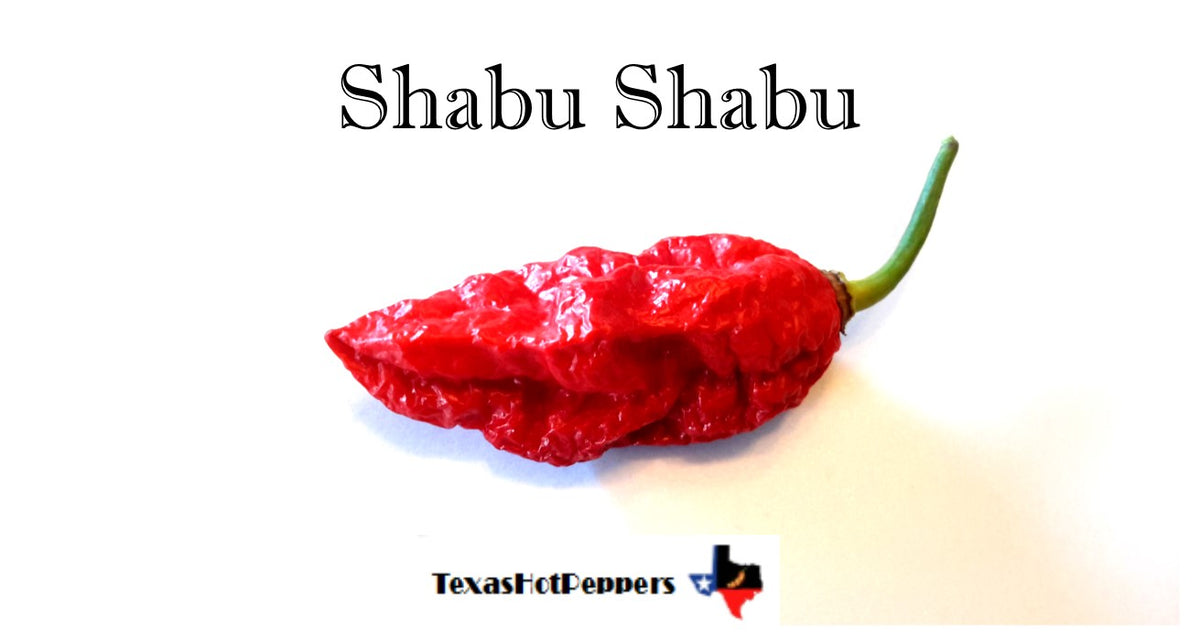 Shabu Shabu – Texas Hot Peppers