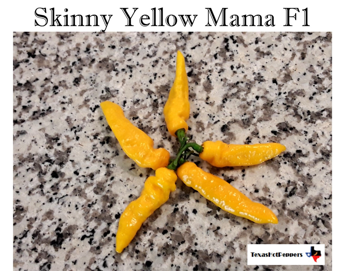Skinny Yellow Mama F1 – Texas Hot Peppers