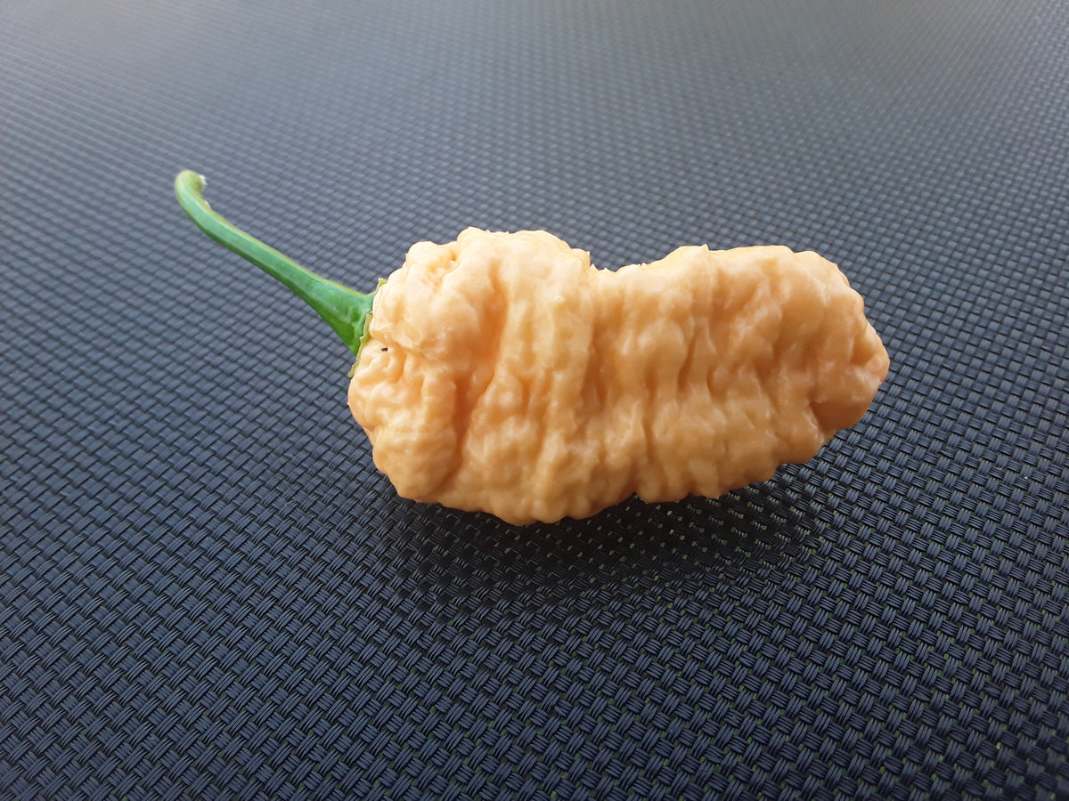 Space X F5 – Texas Hot Peppers