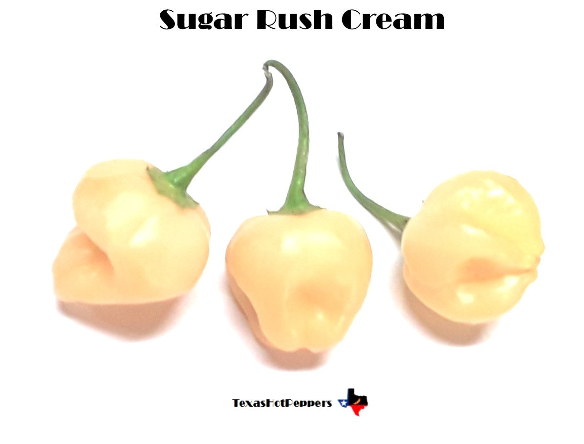 Sugar Rush Cream – Texas Hot Peppers