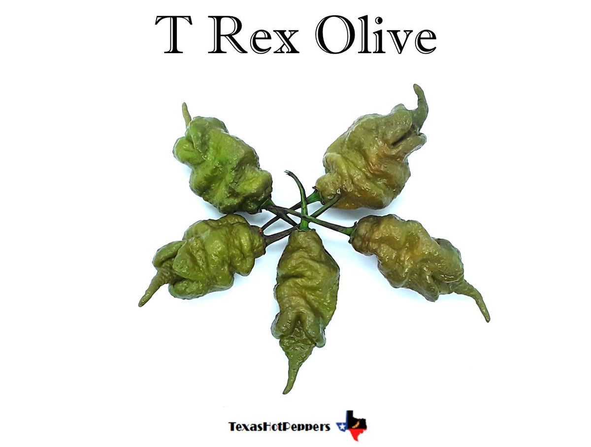 T Rex Olive – Texas Hot Peppers