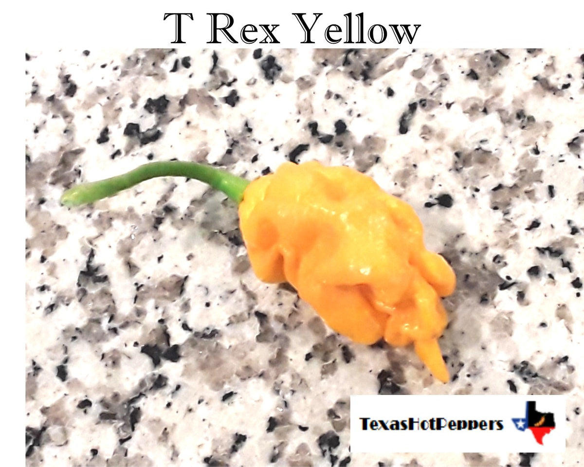 T Rex Yellow – Texas Hot Peppers